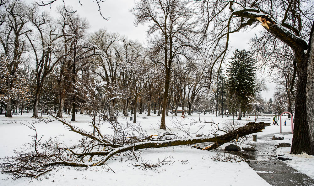 Here are the best photos made by Salt Lake Tribune photographers in ...