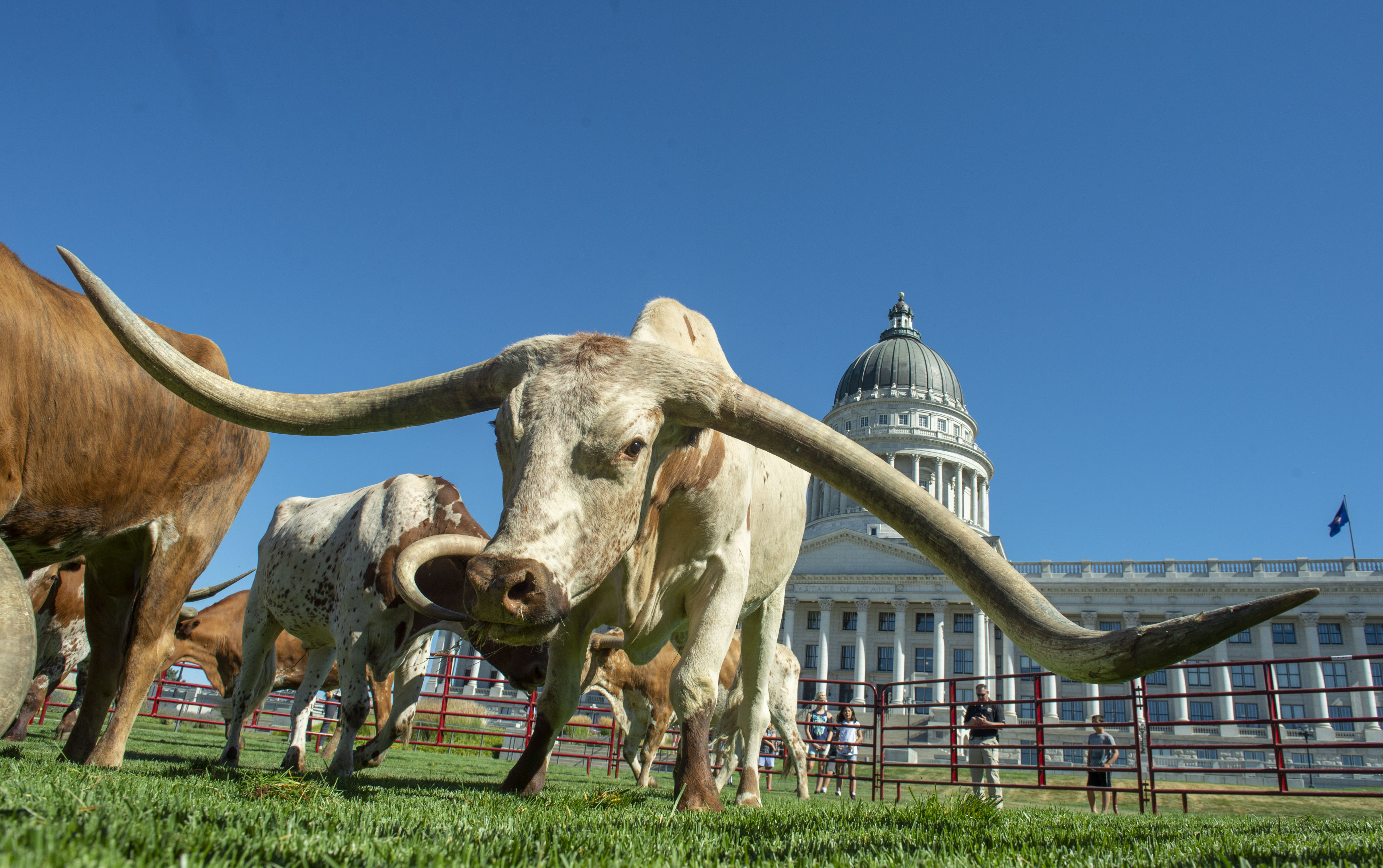 Think you know Utah? Take our news quiz and find out. - The Salt Lake ...